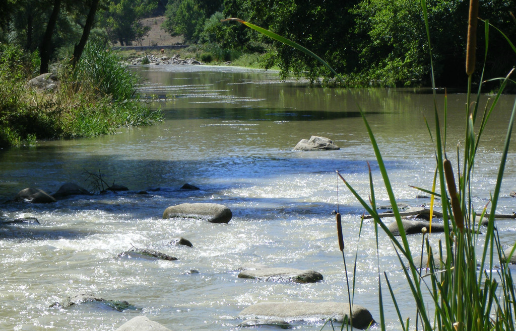 Il Castello di Grottole: la leggenda di Abufina - laCOOLtura