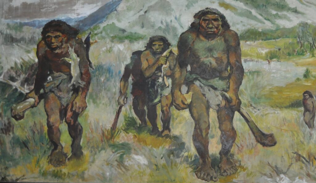 Homo Sapiens Origine E Migrazioni Out Of Africa Lacooltura
